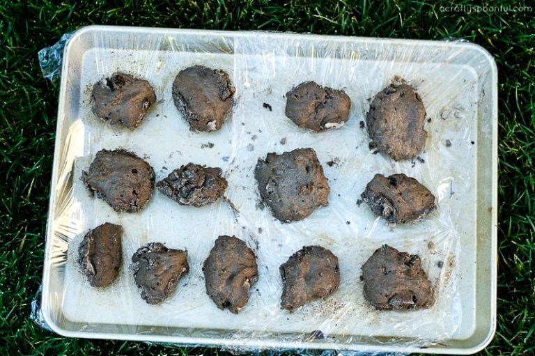 How to Make Dinosaur Fossils with Kids - The Simple Parent