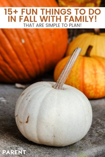 15+ Fun Things to Do in Fall with Family - The Simple Parent
