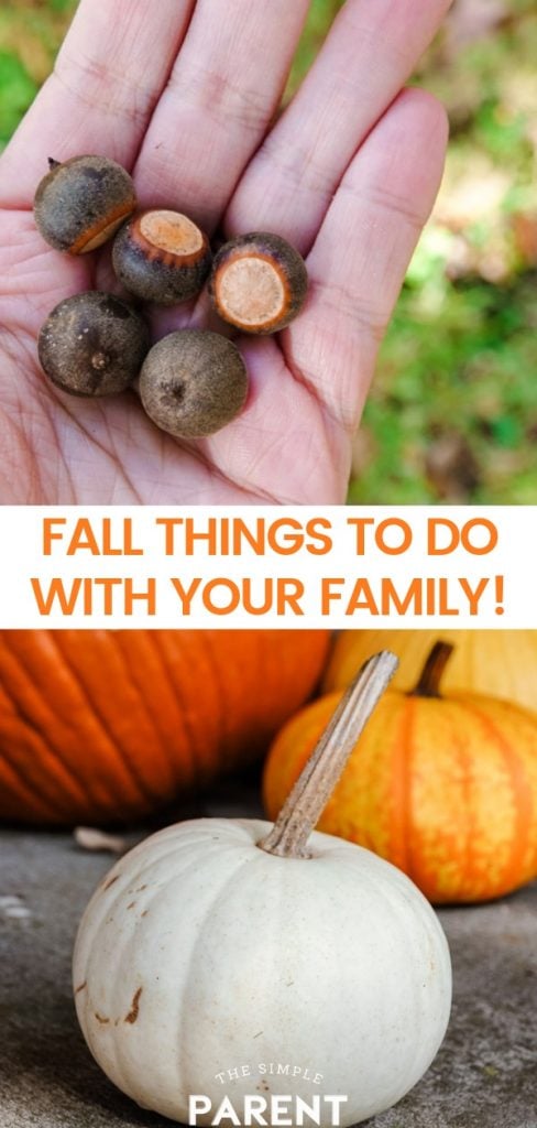 15+ Fun Things to Do in Fall with Family - The Simple Parent