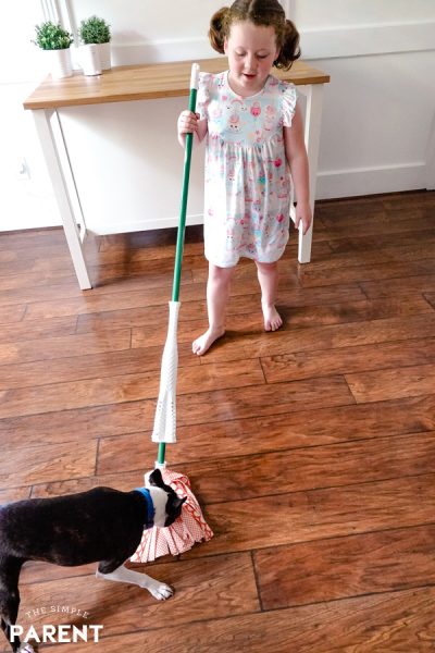 5 Spring Cleaning Tips for Pet Owners - The Simple Parent