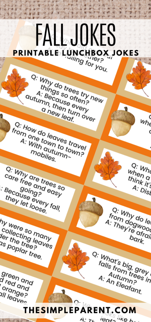 Fall Jokes for Kids - The Simple Parent